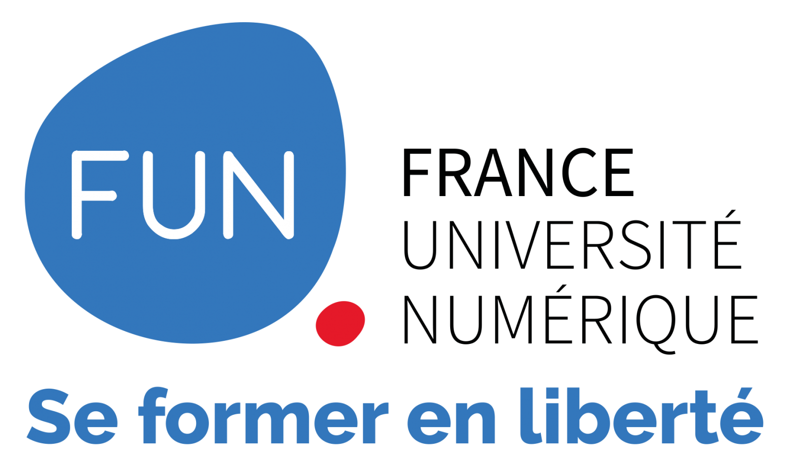 Common Microcredential Framework (CMF) - European MOOC Consortium